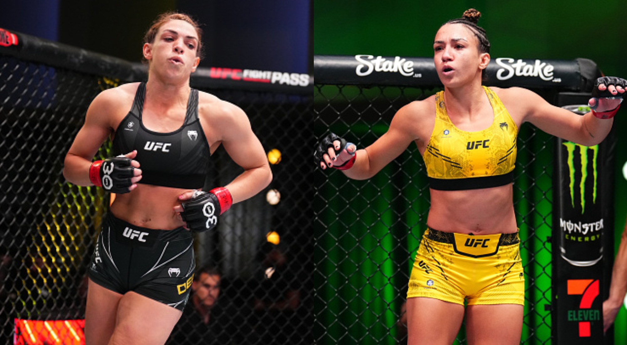 Mackenzie Dern vs Amanda Ribas UFC: Palpites, Análise e Odds