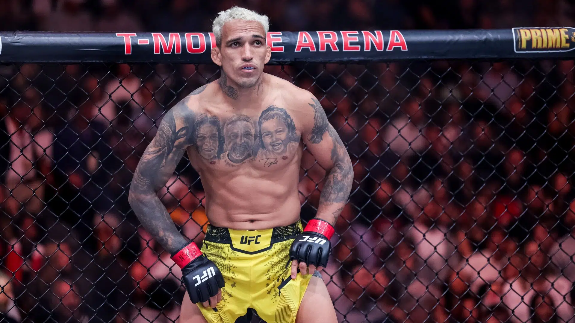 Como assistir UFC no Brasil sem pay-per-view?